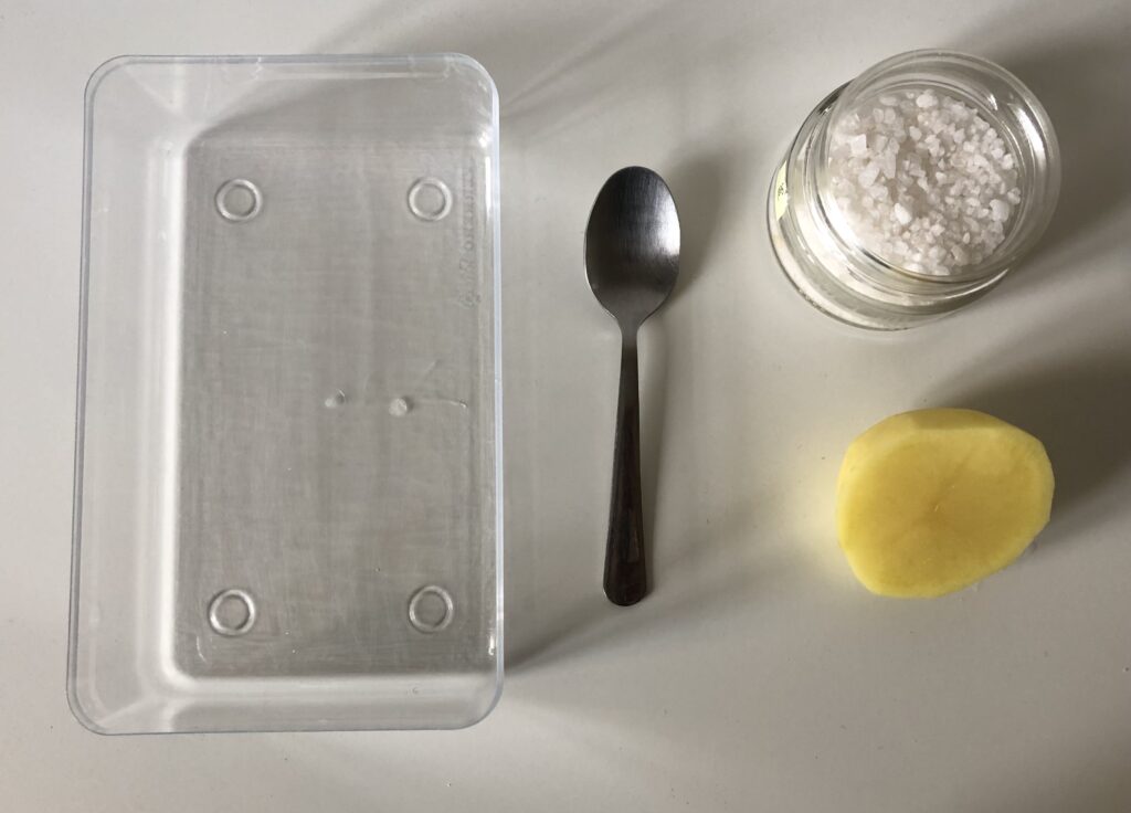 Osmosi patata - Ondivaghiamo